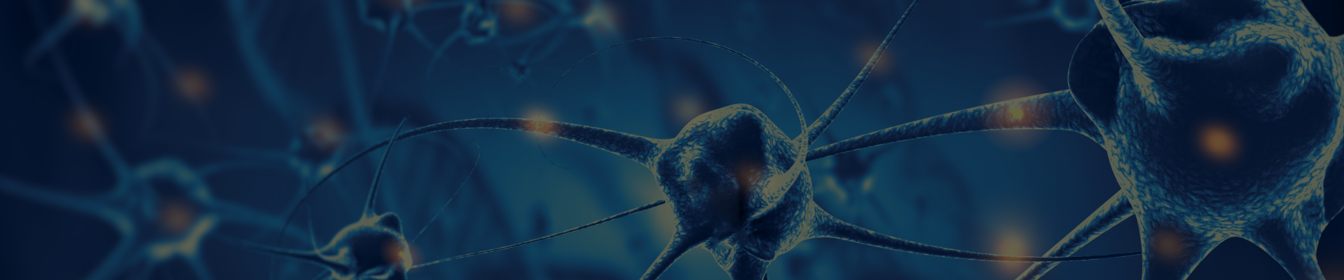 Concussion & TBI Testing - Brain Injury Diagnostic Centers